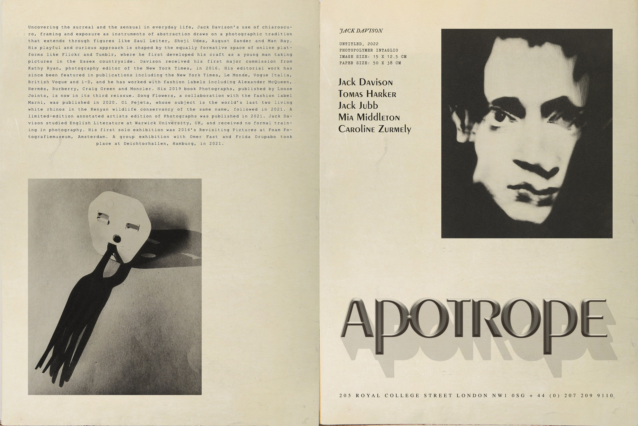 Cob • Horror Vacui Studio